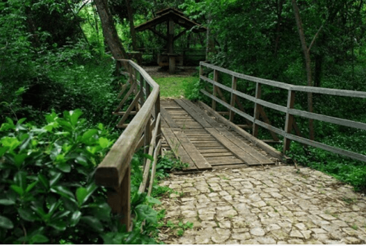 5 einzigartige Erlebnisse in der Natur in Coimbra - | Hotel Oslo Coimbra